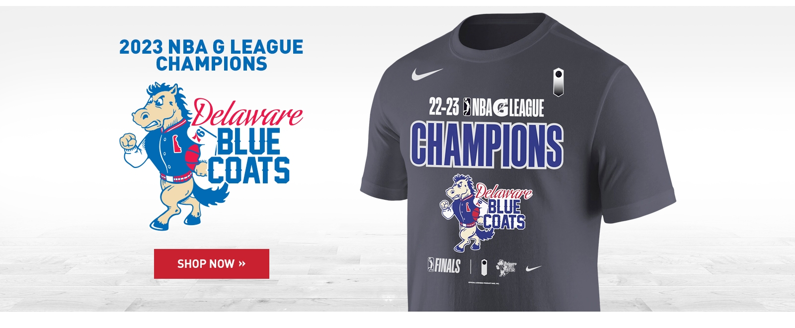NBA G League Gear, Official G League Store | One Store, Every Team